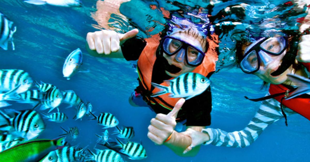 Exploring Andaman Marine Life : Snorkeling Adventures